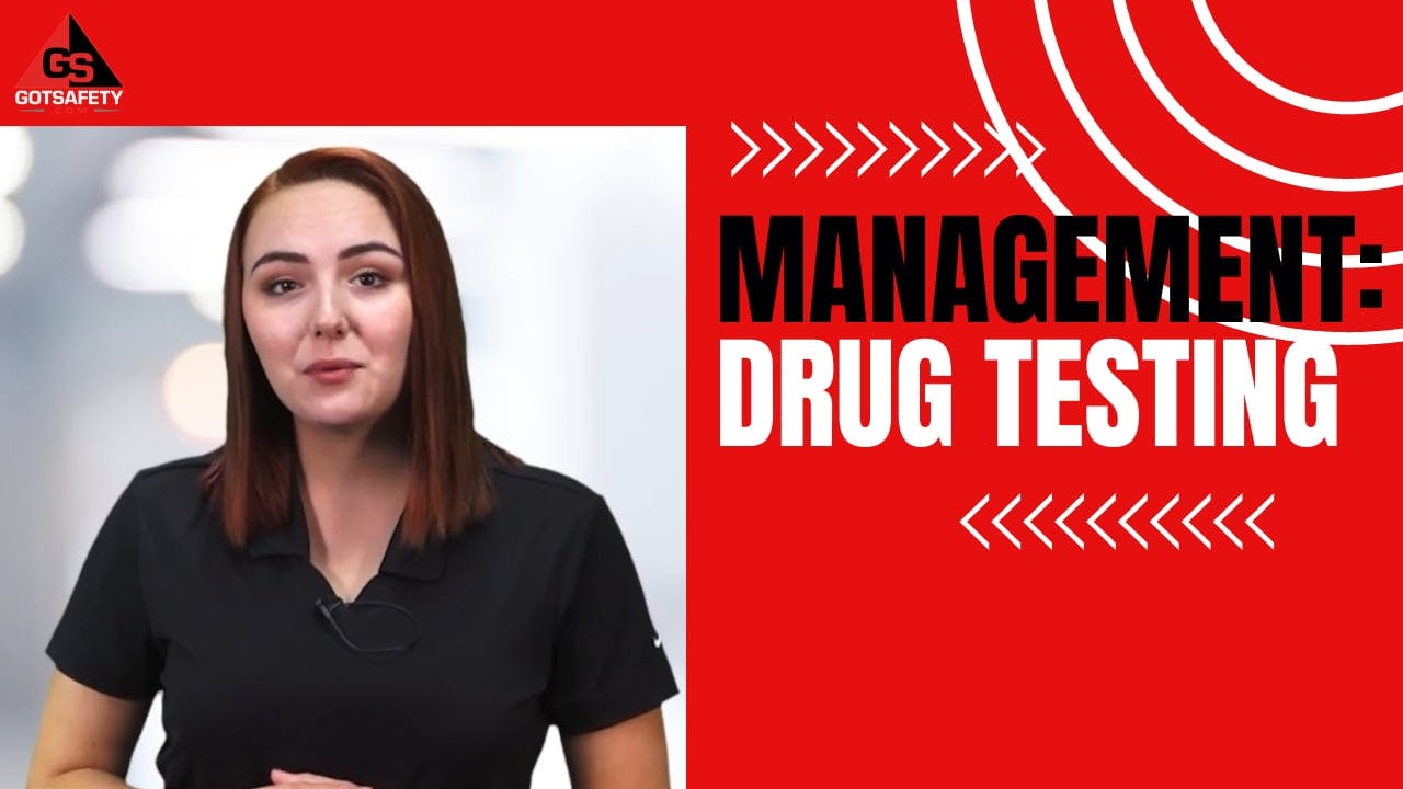 Management: Drug Testing - GotSafety Lite | Safety Video Streaming