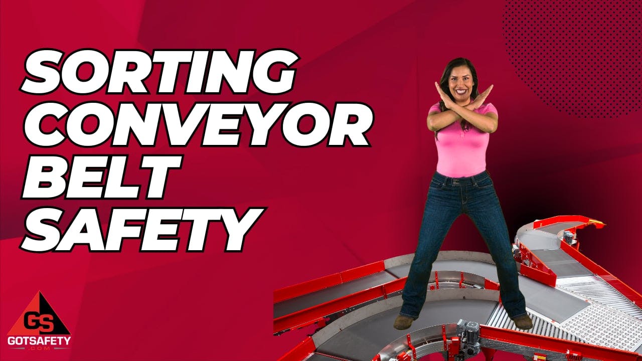 Sorting Conveyor Belt Safety - GotSafety Lite | Safety Video Streaming