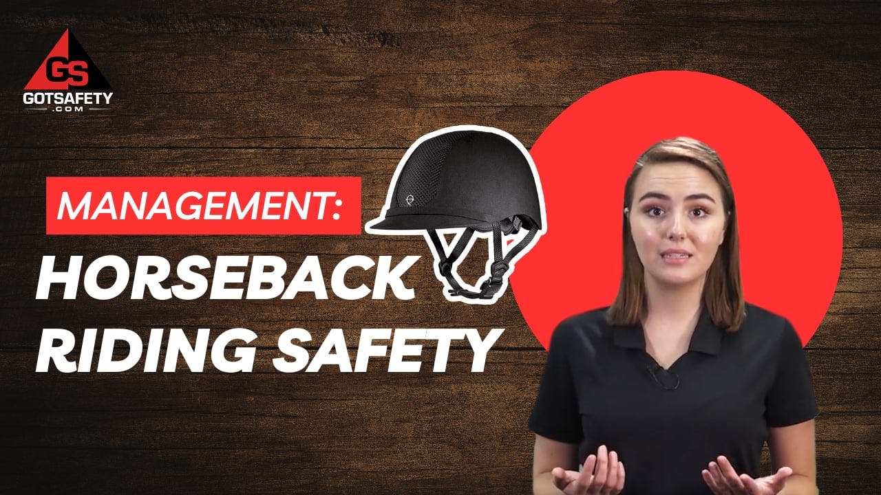 Management: Horseback Riding Safety - GotSafety Lite | Safety Video ...