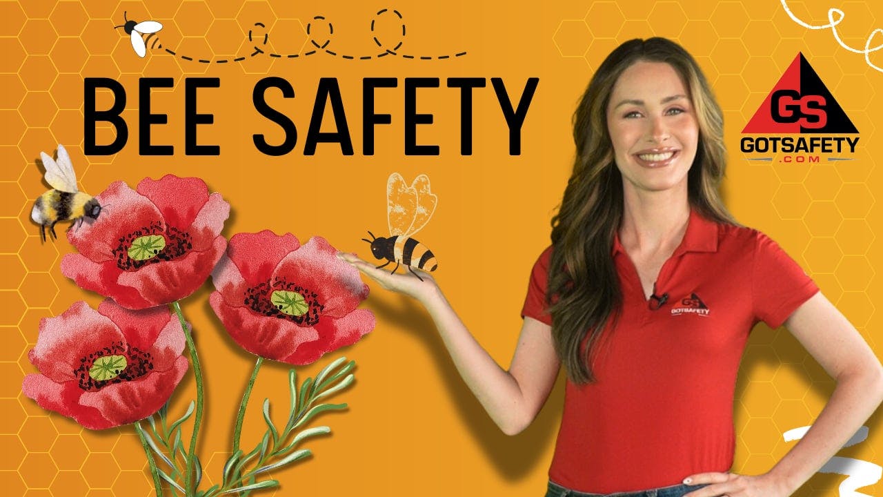 Bee Safety - GotSafety Lite | Safety Video Streaming