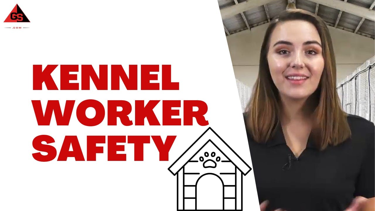 Kennel Worker Safety - GotSafety Lite | Safety Video Streaming