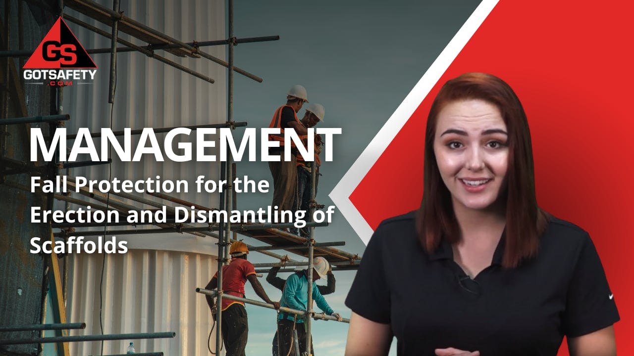 Management: Fall Protection for the Erection and Dismantling of Scaffolds - GotSafety Lite ...