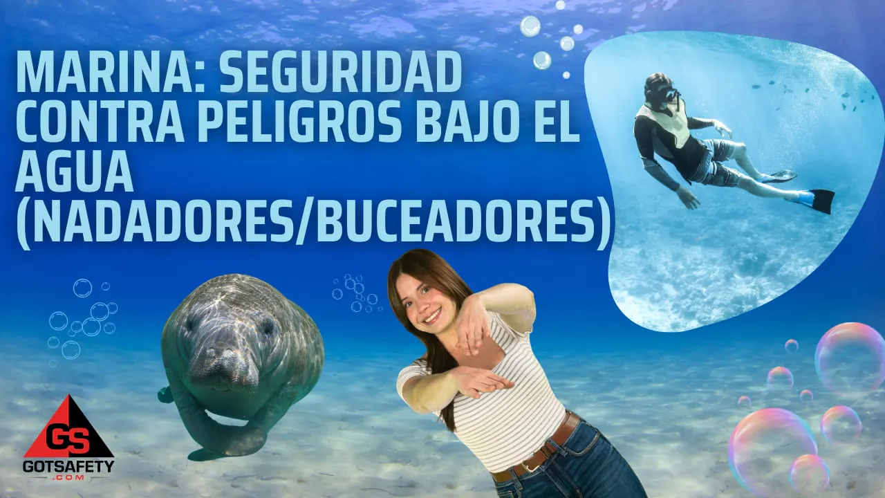 Marina: Underwater Hazard Safety (Swimmers/Divers) - sp - GotSafety ...