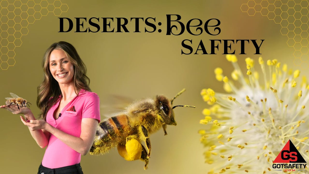 Deserts: Bee Safety - GotSafety Lite | Safety Video Streaming