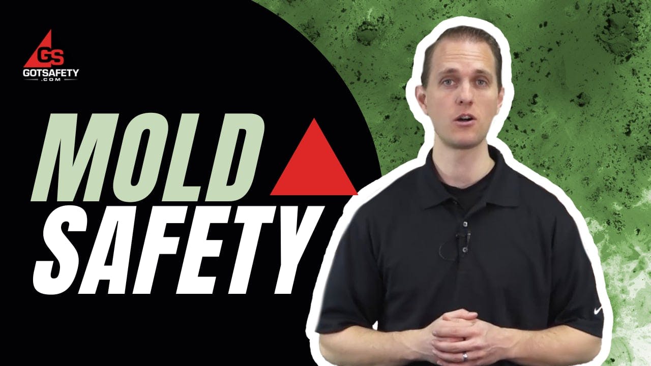 Mold Safety - GotSafety Lite | Safety Video Streaming