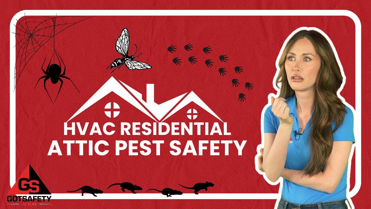 HVAC Residential: Attic Pest Safety - GotSafety Lite | Safety Video ...
