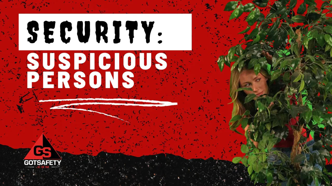 Security: Suspicious Persons - GotSafety Lite | Safety Video Streaming