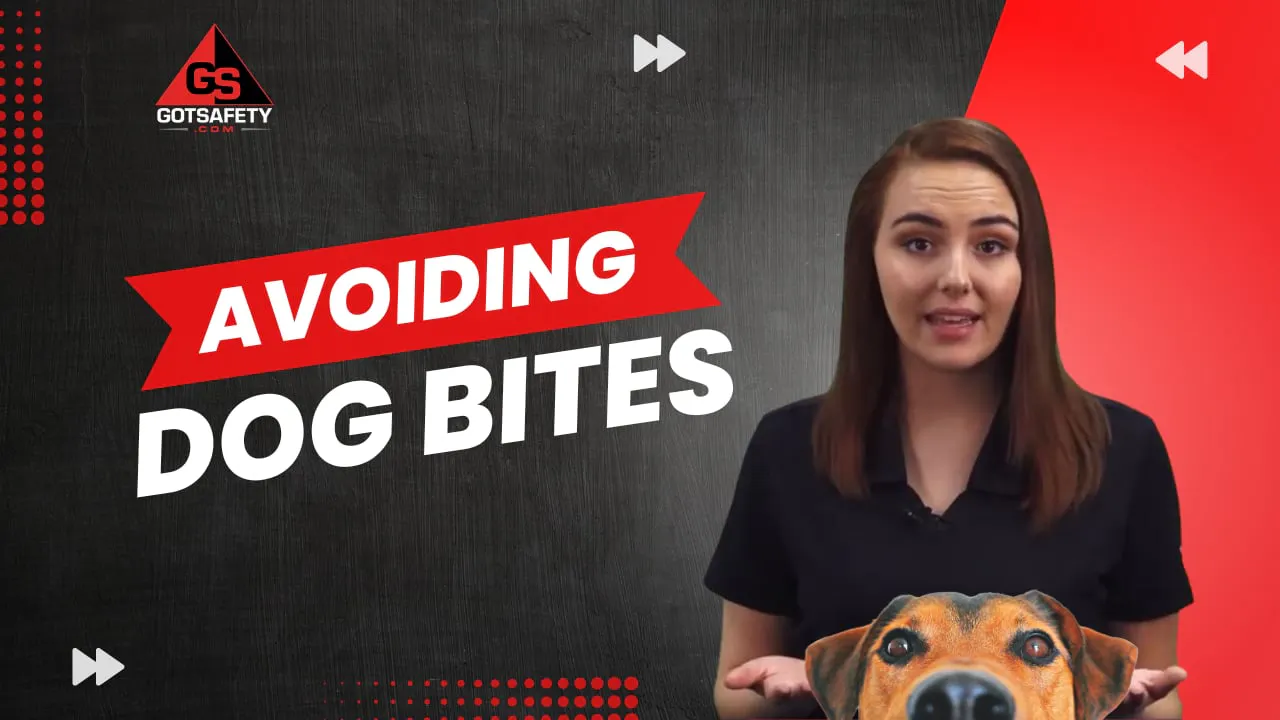 Avoiding Dog Bites - GotSafety Lite | Safety Video Streaming
