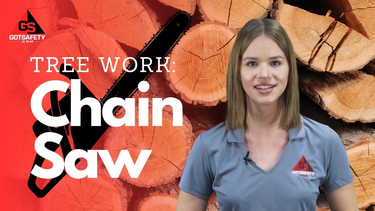 Tree Work: Chainsaw Safety - GotSafety Lite | Safety Video Streaming
