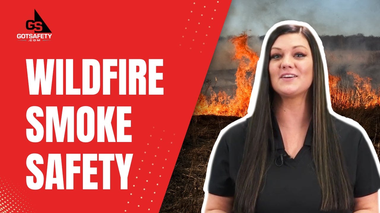 Wildfire Smoke Safety - GotSafety Lite | Safety Video Streaming