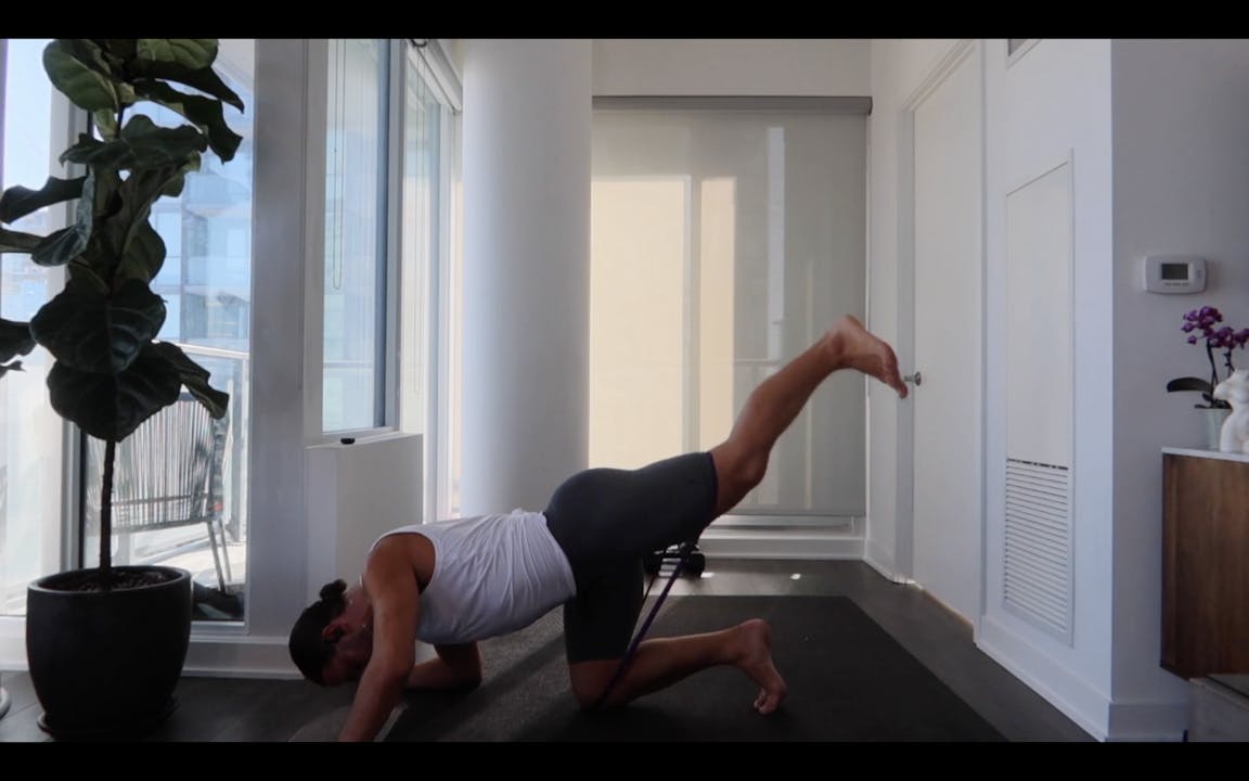 BBL (20) - HOLY HAMSTRINGS - BBL (LEGS+GLUTES) - G.O.Y.A TRAINING CLUB ...