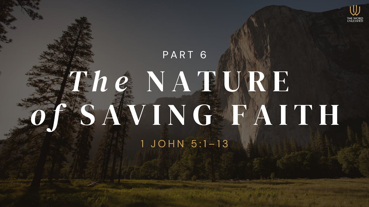 The Nature of Saving Faith (Part 6) - The Word Unleashed - The Nature ...