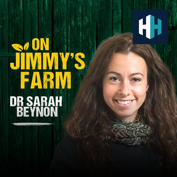 Dr Sarah Beynon on Eating Insects & Sustainability in the Food Industry ...