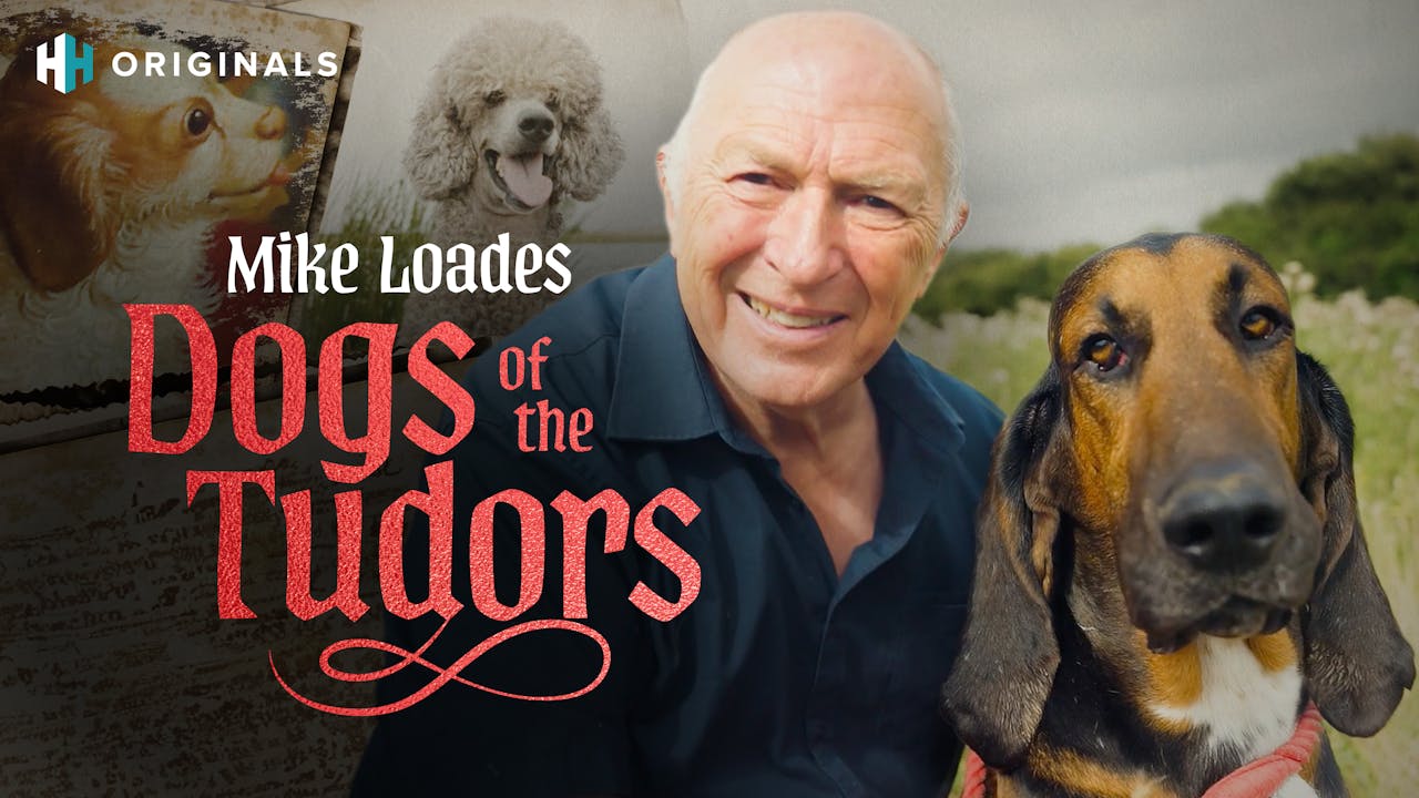 Dogs of the Tudors - History Hit