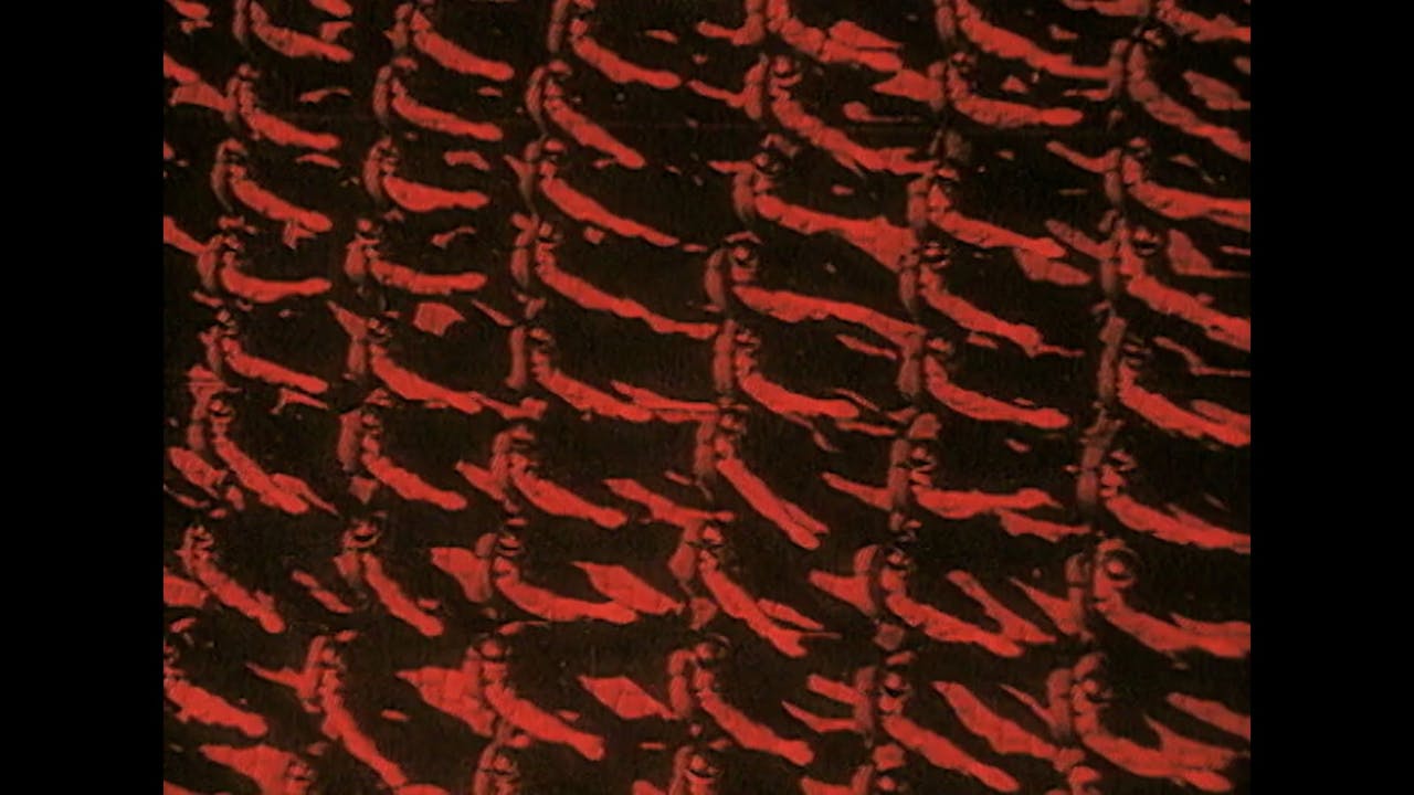 Adolf Hitler's Last Days - History Hit