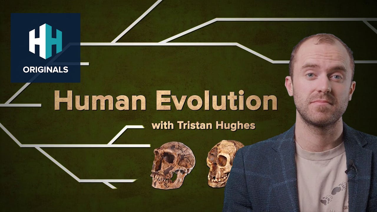 Human Evolution with Tristan Hughes - History Hit