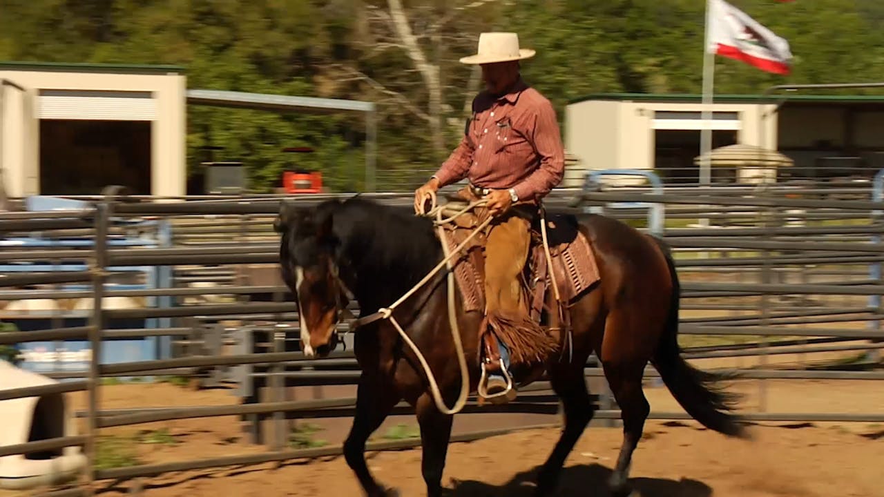 Words of Wisdom – Chapter 14 - Shortening Reins - Horse and Rider Videos