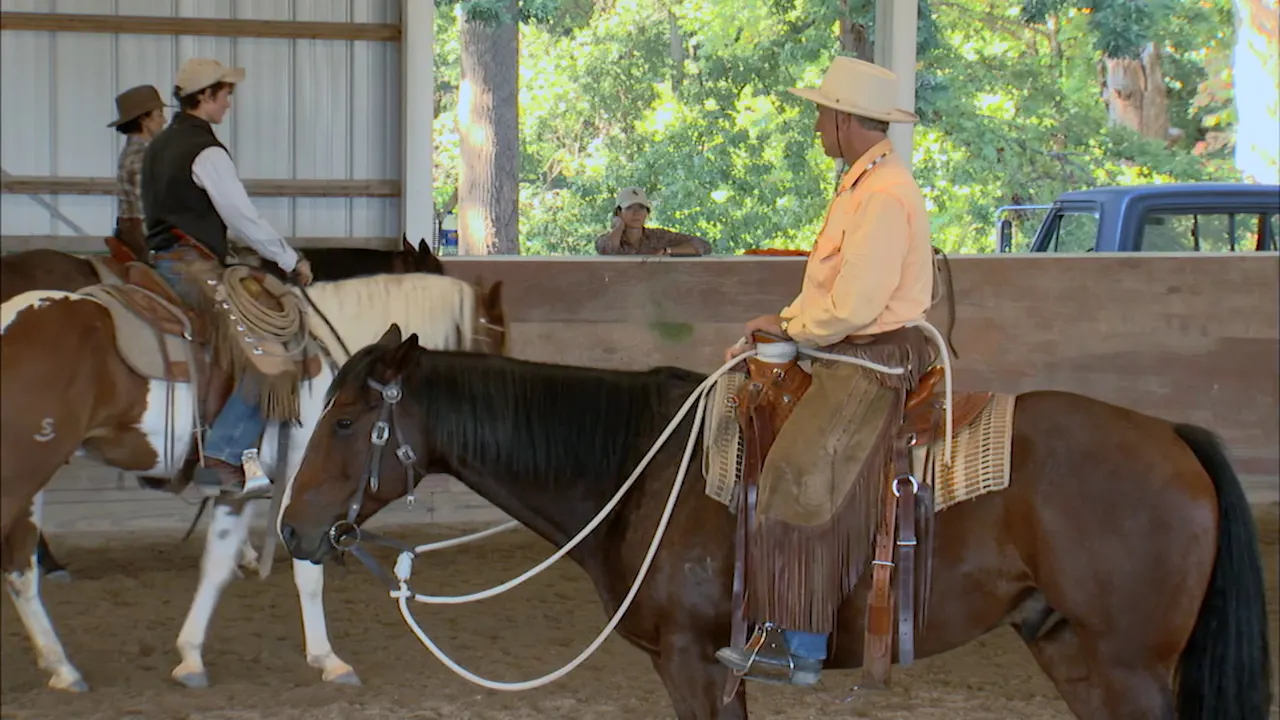 Lessons 1 – Chapter 6 - Riding Form - On Stopping - Horse and Rider Videos