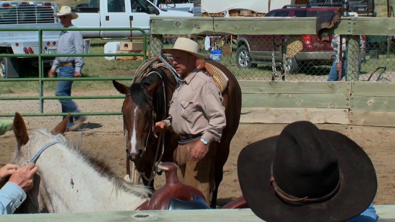 Groundwork 1 - Chapter 19 - Bridling/Haltering Tips - Tongue Over Bit ...