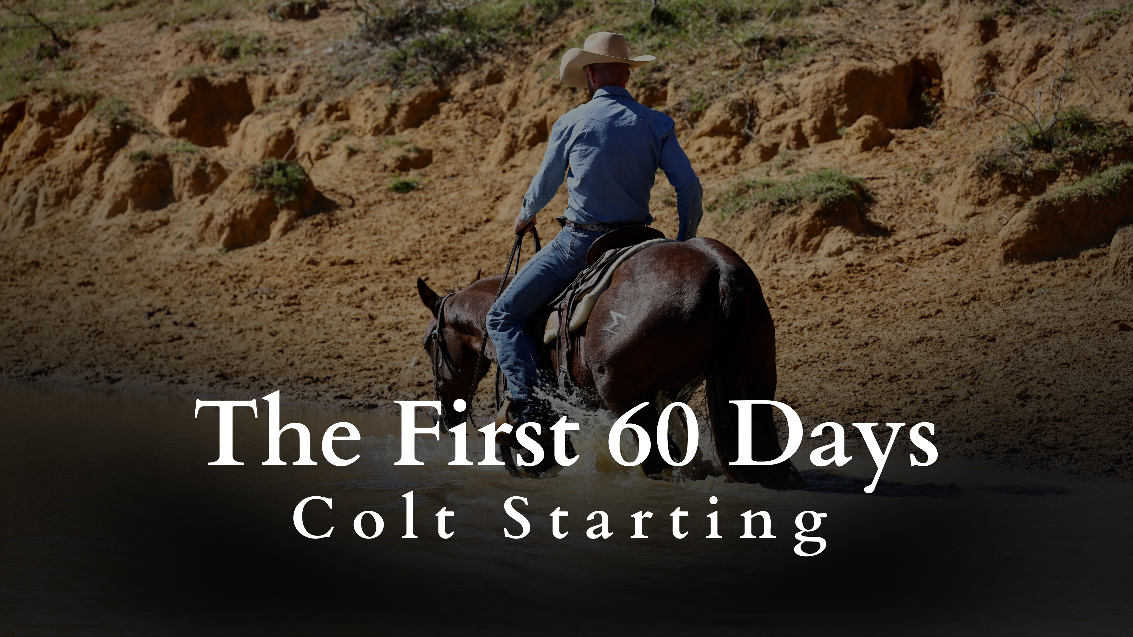 The First 60 Days - HORSEpro TV