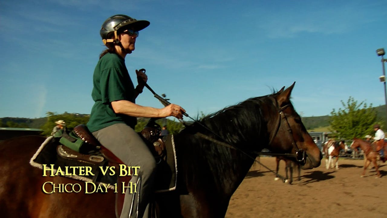 Halter vs Bit - Horse.TV