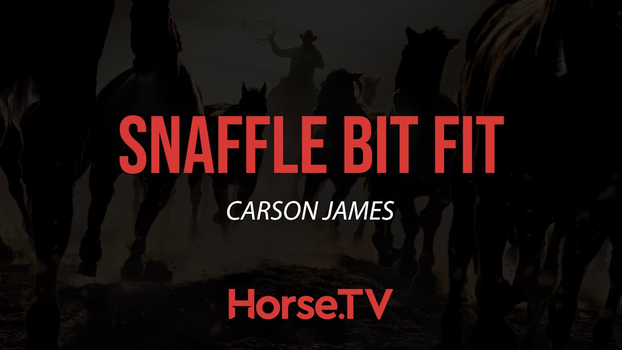 Snaffle Bit Fit - Horse.TV