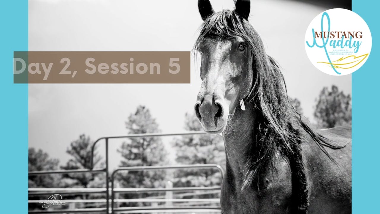 First Haltering - Taming A Wild Mustang - Horse.TV
