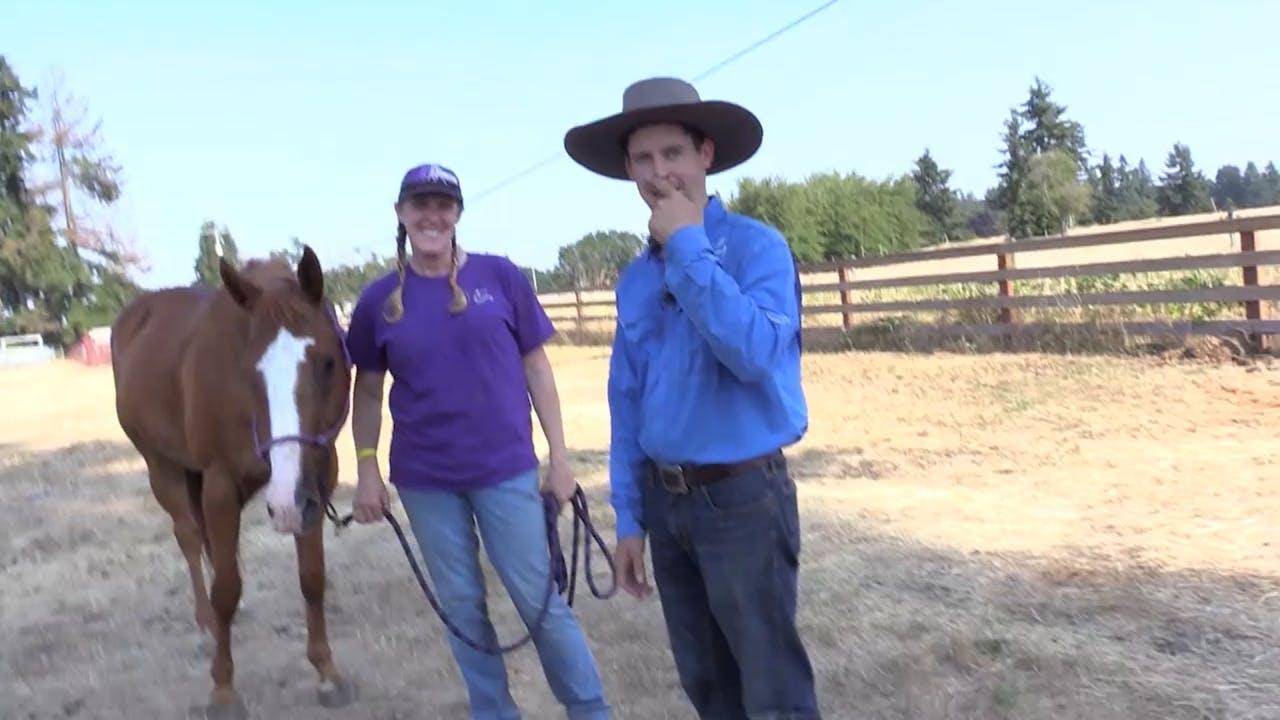 Trailer Loading/Unloading Work - Horse.TV
