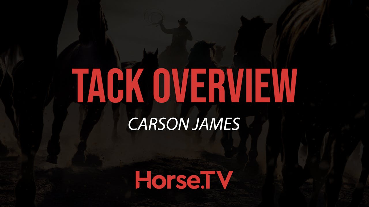 Tack Overview - Horse.TV