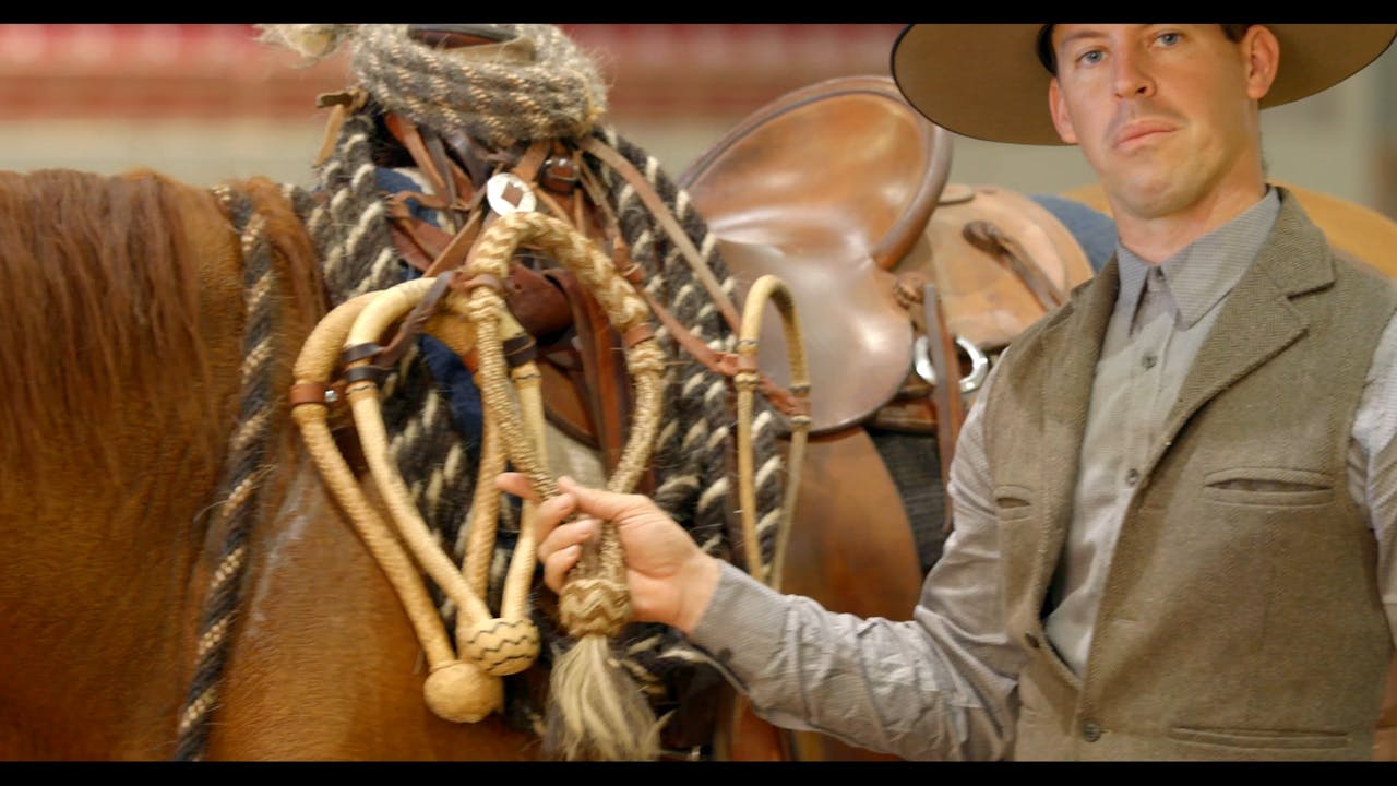 Types Of Hackamores - Horse.TV