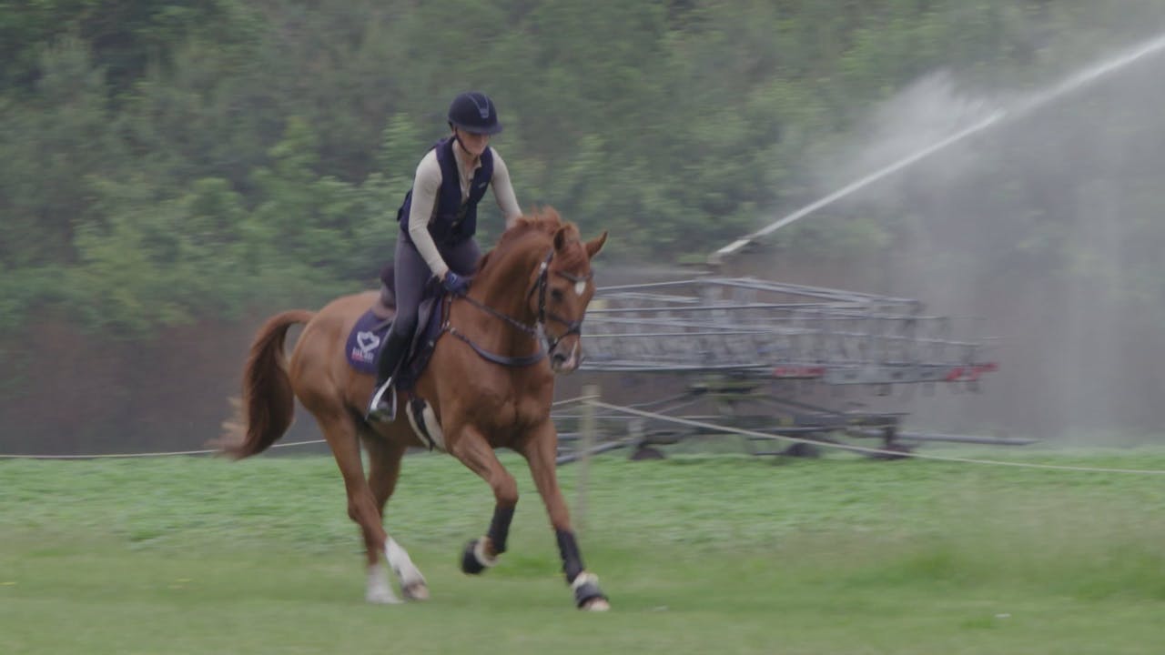 Horses & the Science of Harmony Trailer - Horse.TV