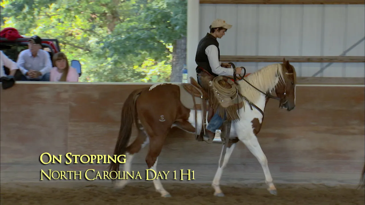 Fundamentals Of Stopping - Horse.TV