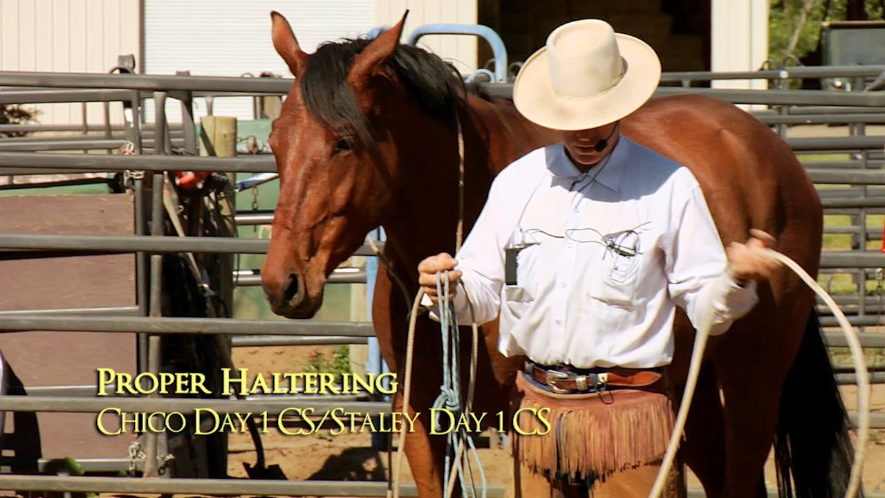 Proper Haltering - Horse.TV