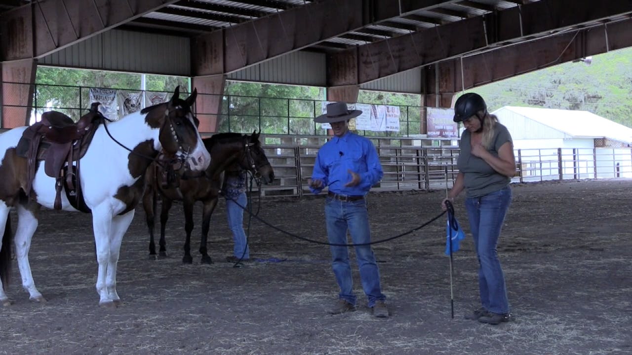 Bolting Horse - Horse.TV