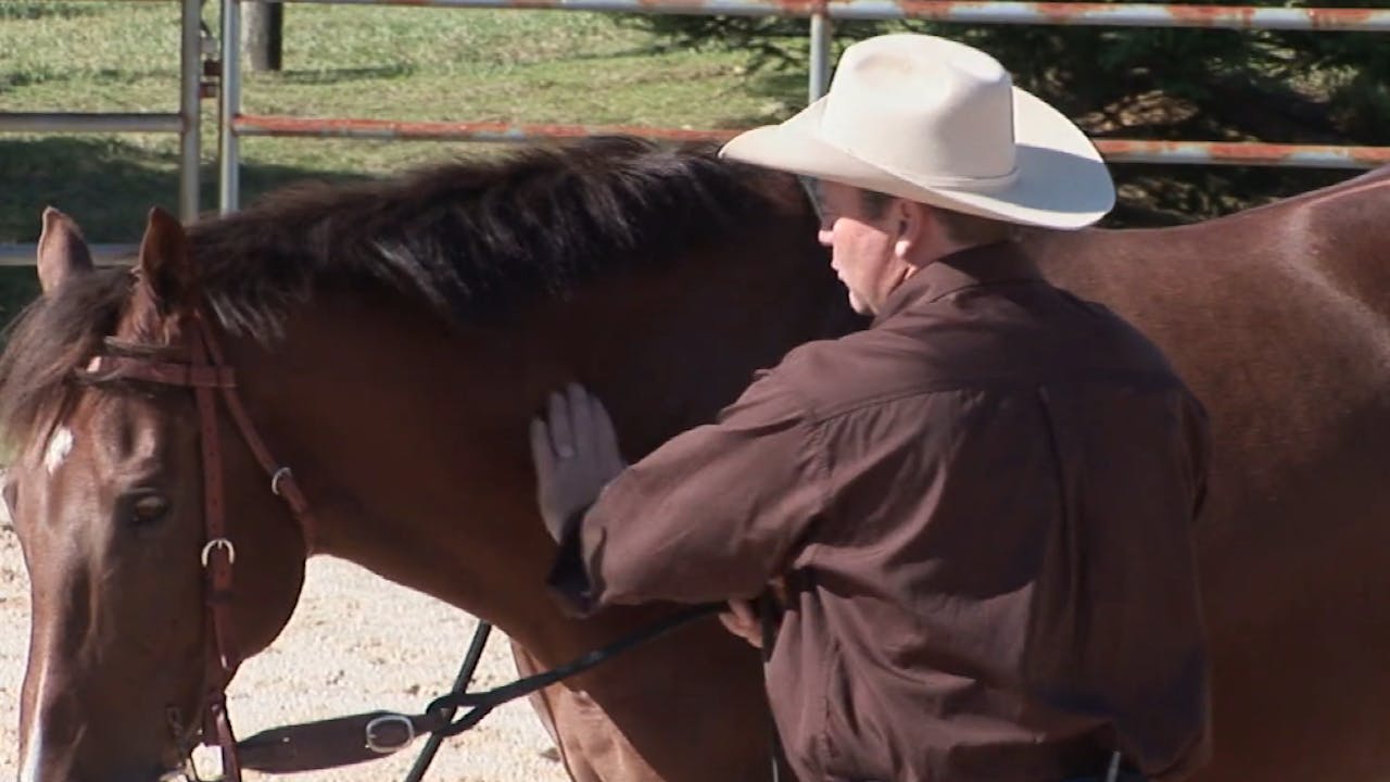 Episode 10 | Desensitizing - Season 2 - Horse.TV