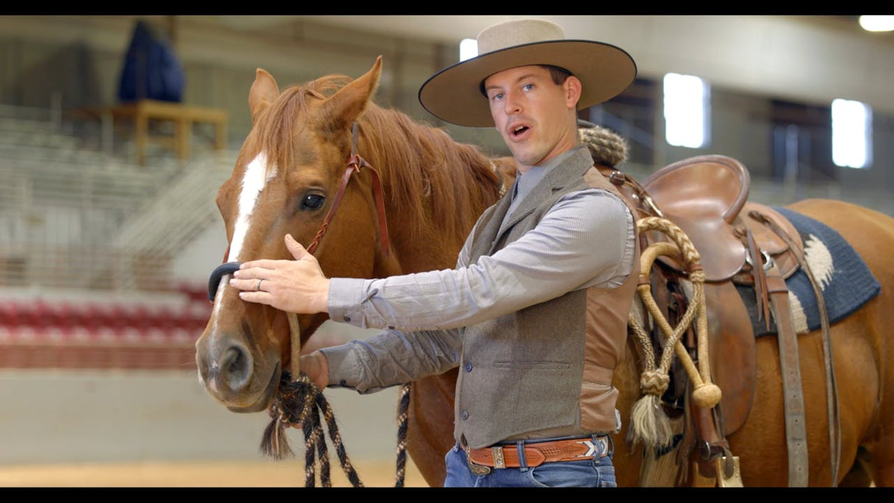 Shaping The Bosal - Hackamore Training | Carson James - Horse.TV
