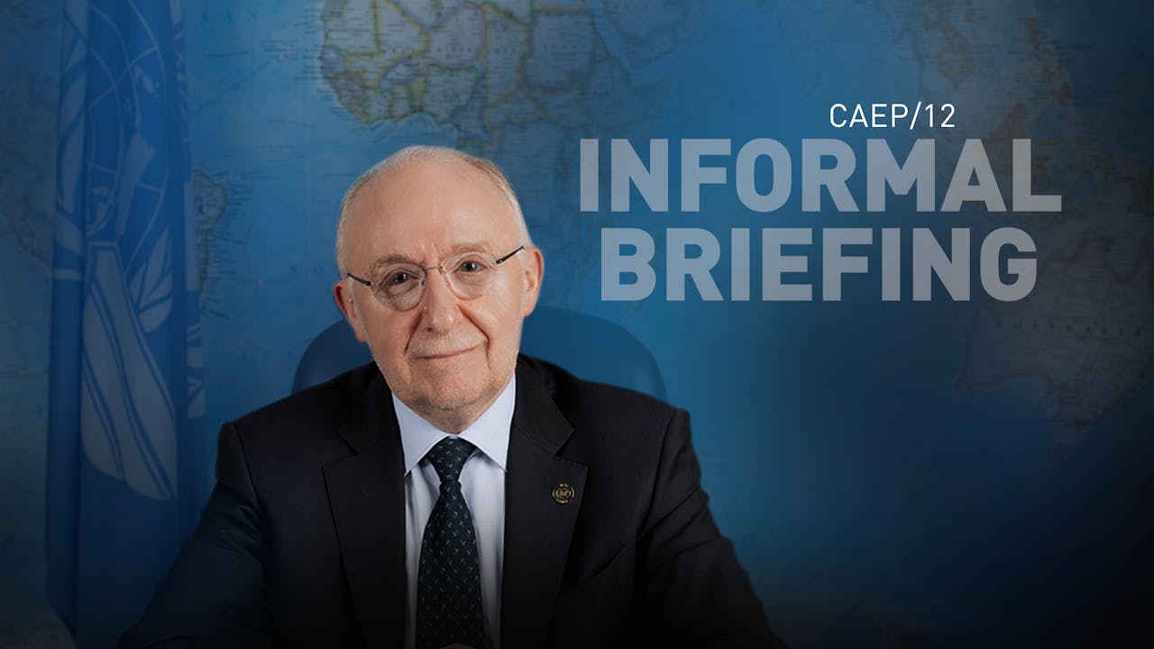 Informal briefing on the results of the CAEP/12 - Council Briefings ...