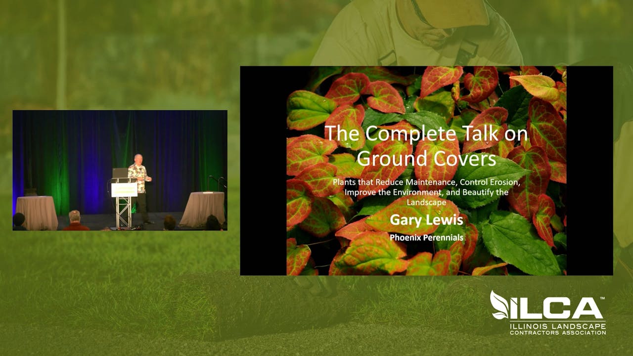 The Complete Talk on Ground Covers - Bloom