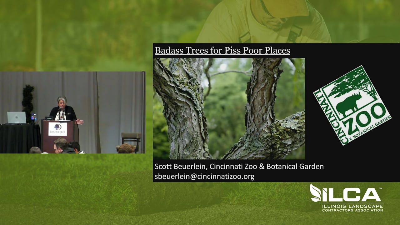 Bad Ass Trees for Piss Poor Places - Bloom