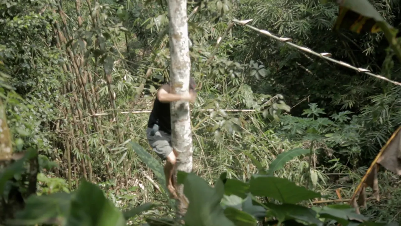 The Fruit Hunters trailer - Highball.TV - Film Festival Streaming Site