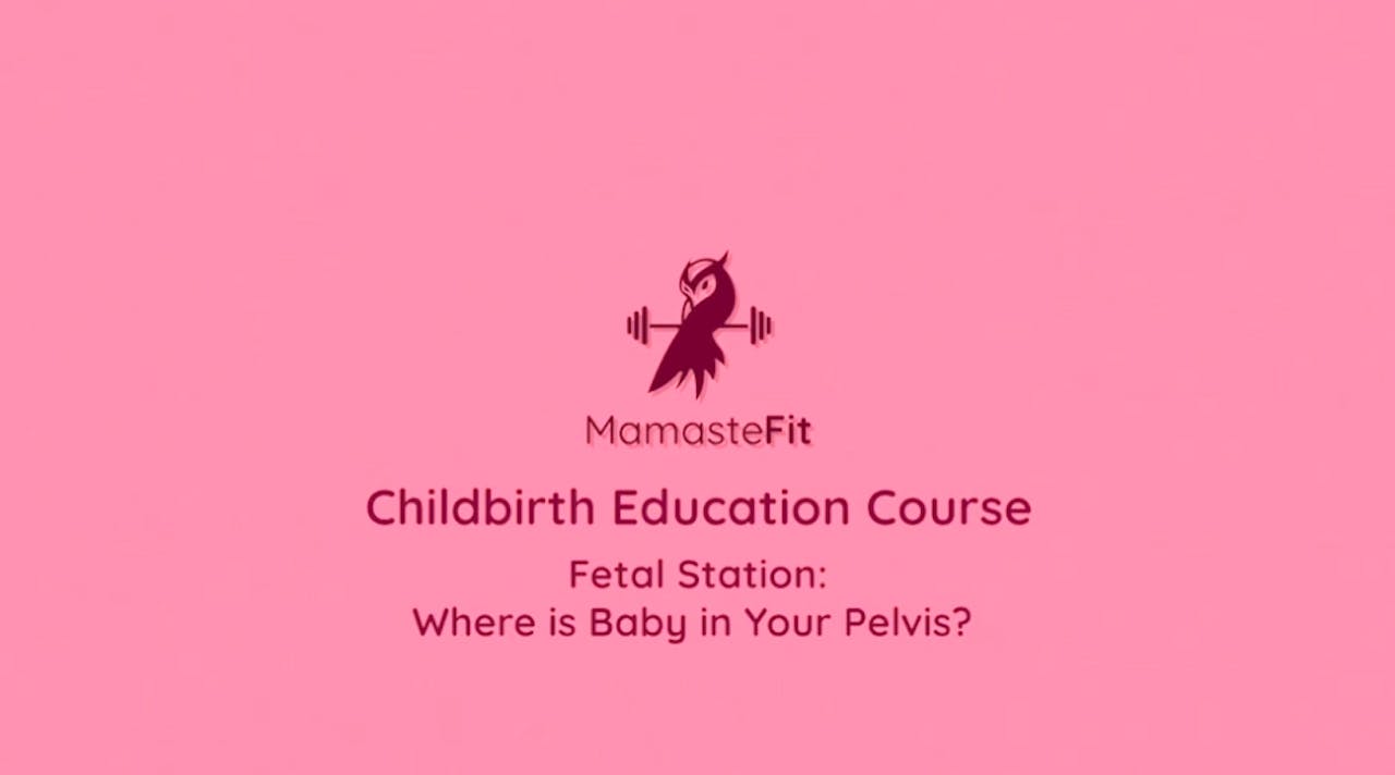 20 - Fetal Stations - Informed Pregnancy+