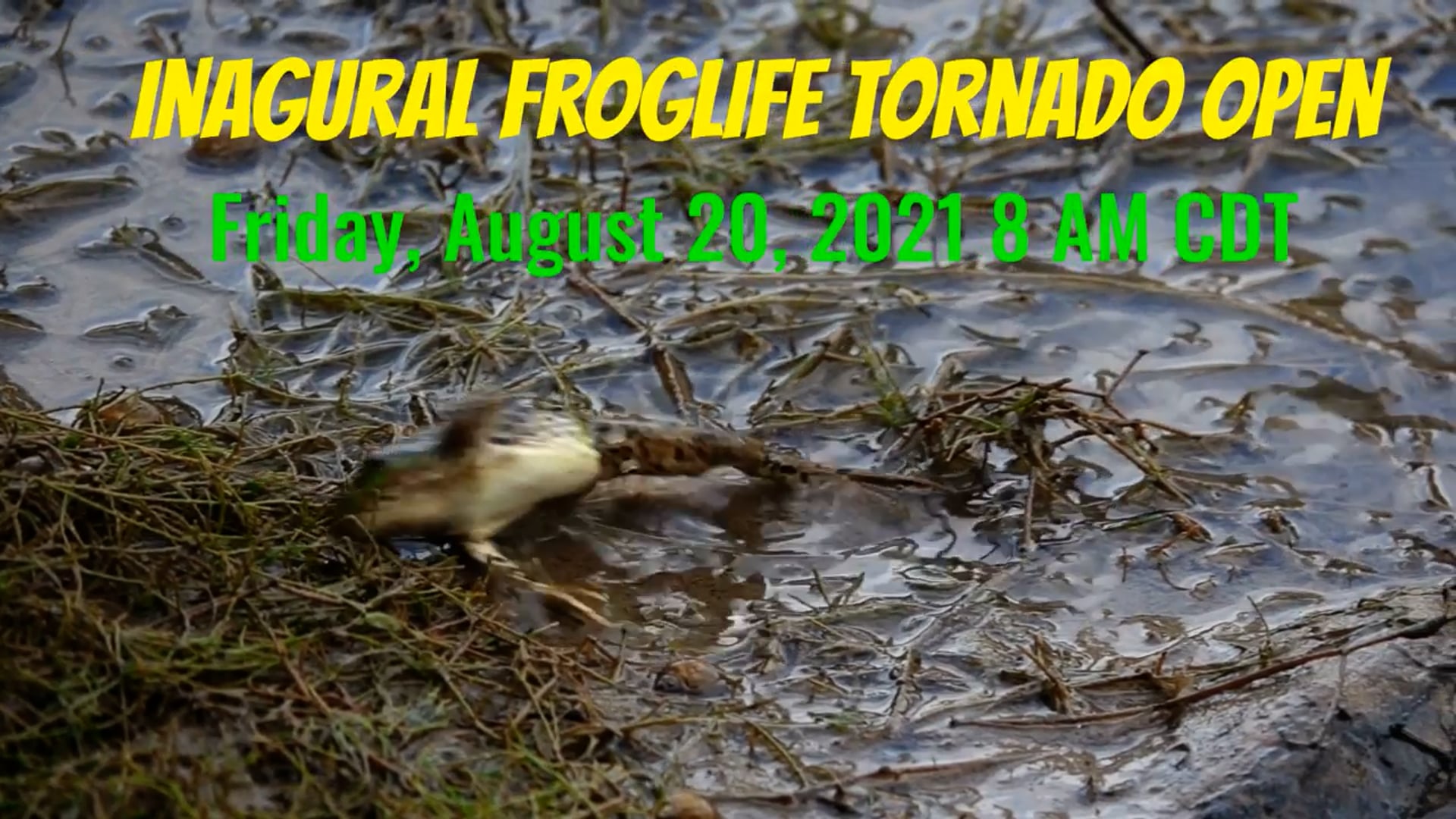 2021 Frog Life Tornado Open - InsideFoos