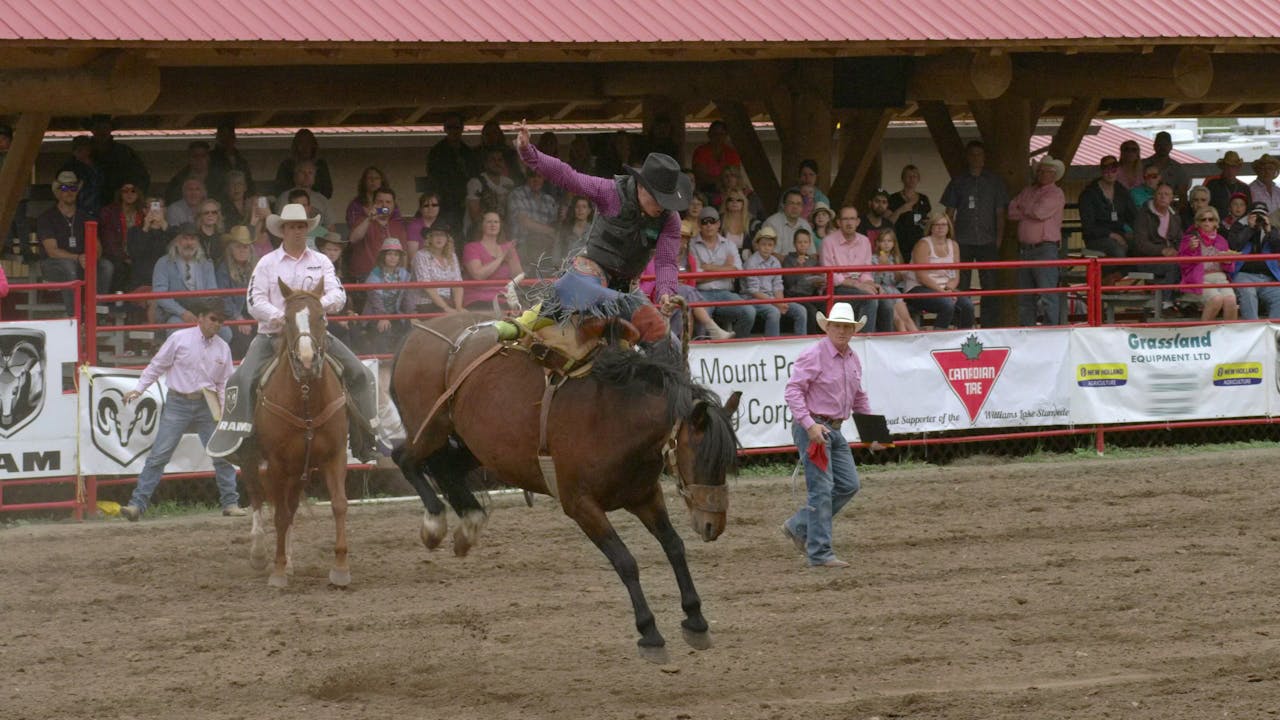 Saddle Bronc Rider - Insight TV