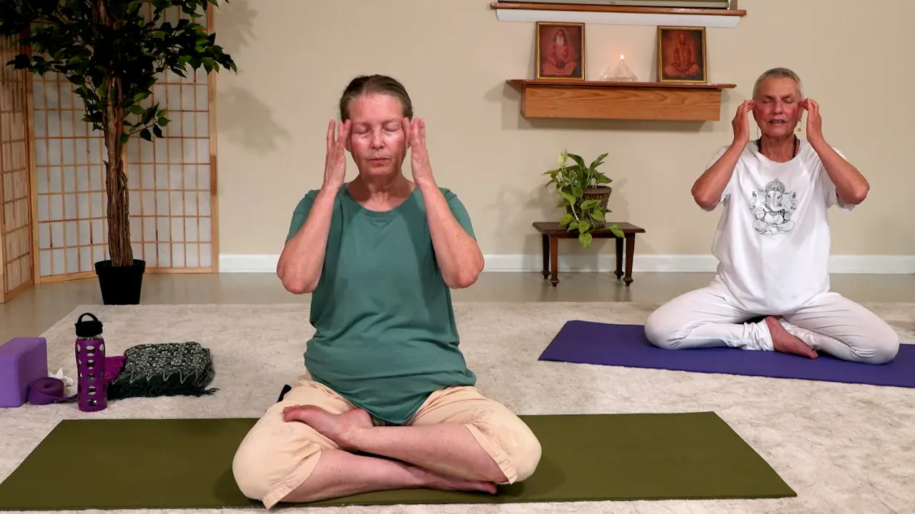 Yoga Asanas to Prepare for Meditation with Satya Greenstone - Satya ...