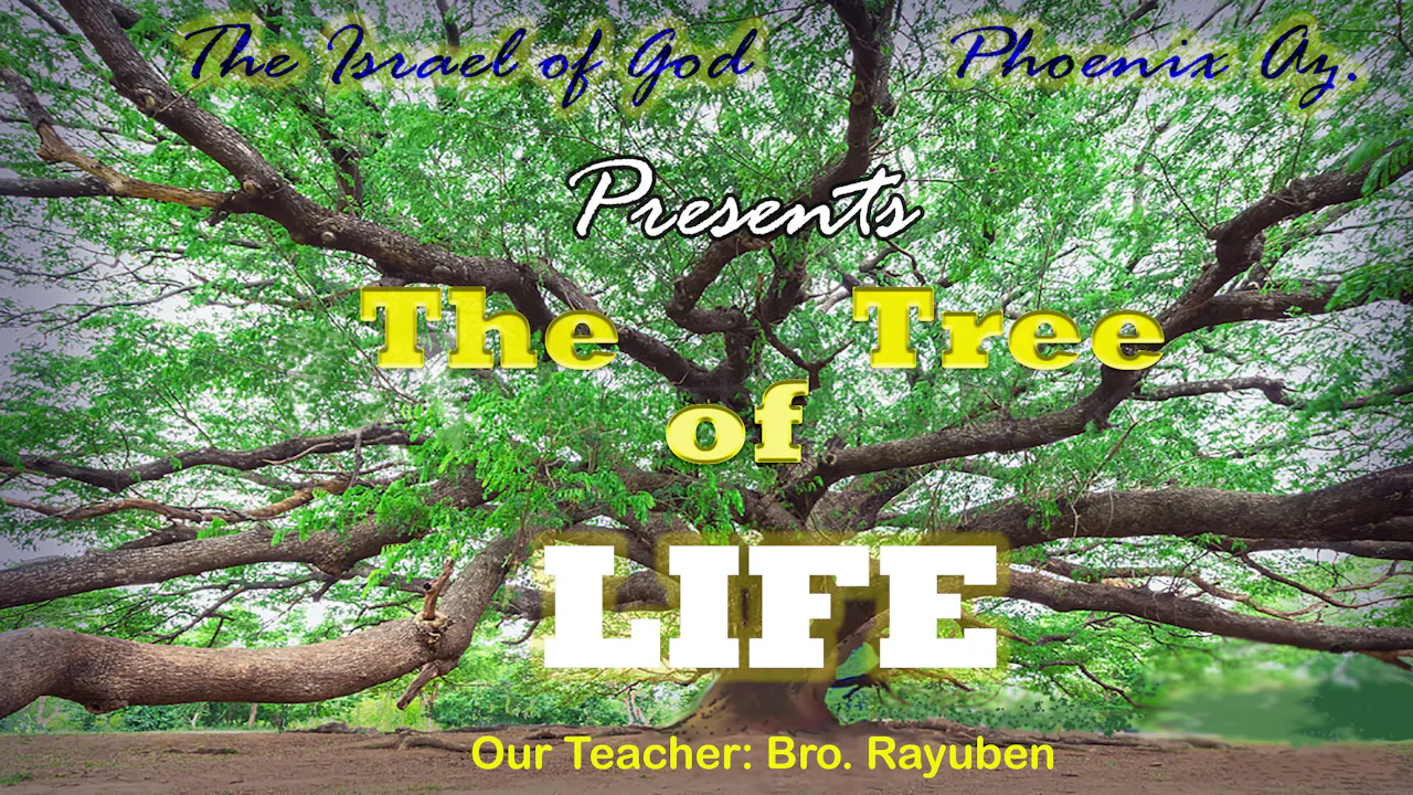 08212021 - IOG Phoenix - The Tree of Life - 2021 - The Israel of God ...