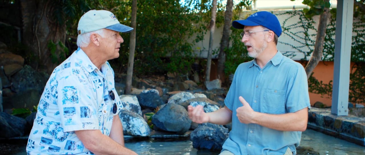 11. The Extraordinary Design of DNA - Is Genesis History?