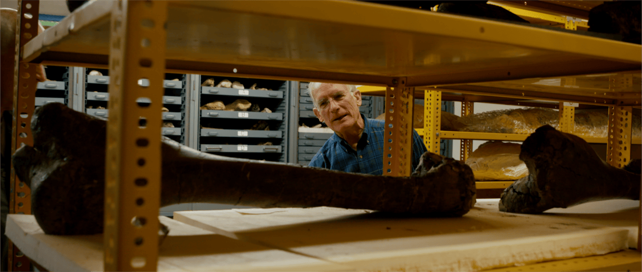 15. Exploring Fossils & Paleocurrents - Is Genesis History?