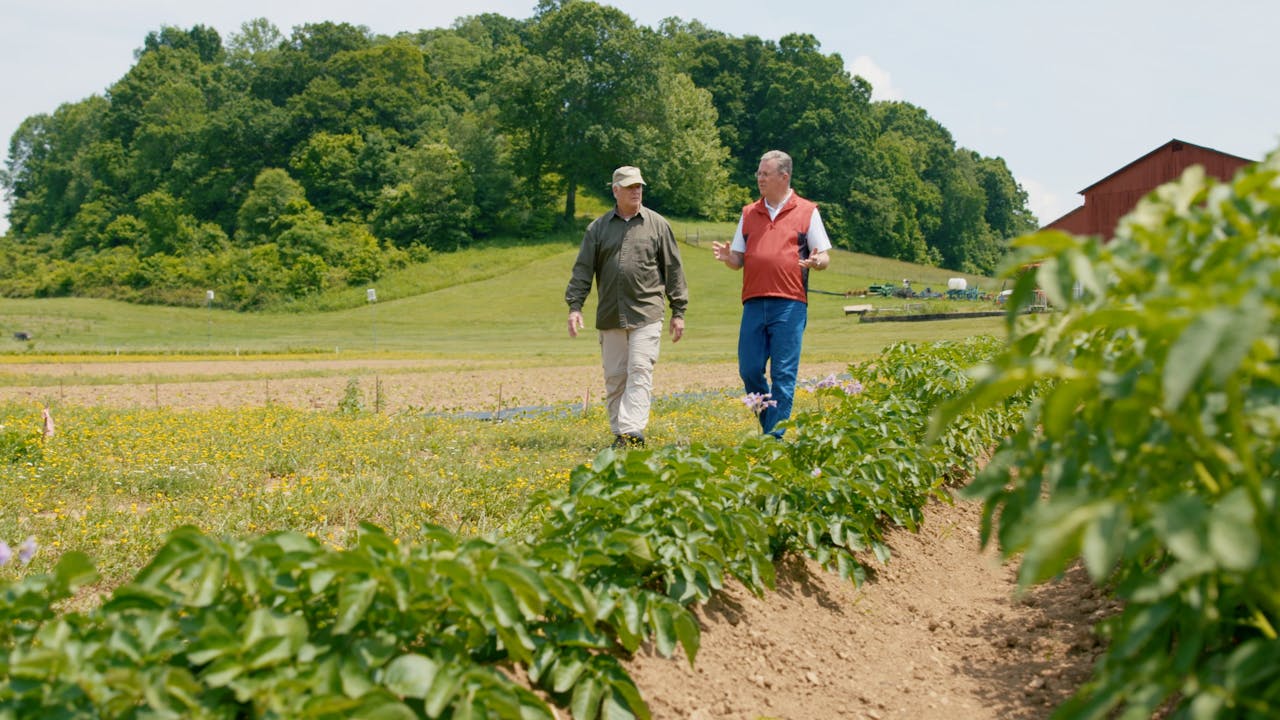 3. The Importance of Genesis to Our Culture - Is Genesis History?