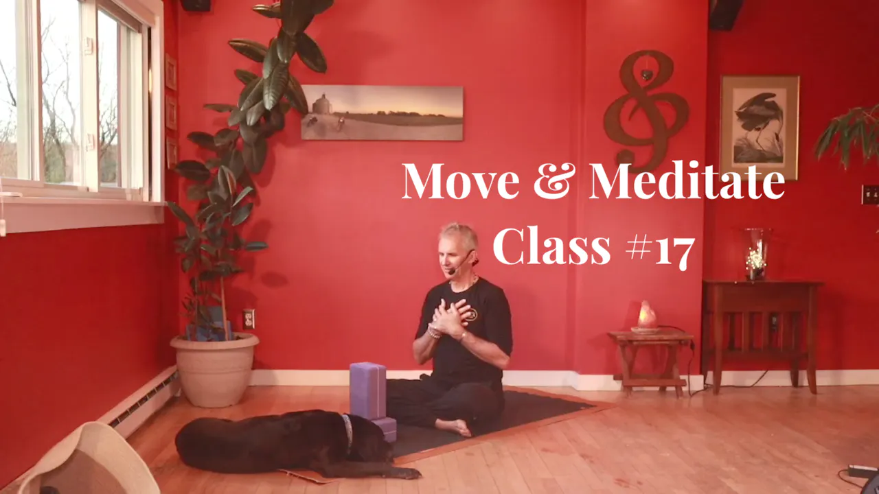 Move & Meditate - Class #17 - MEDITATION - John McConnell Yoga