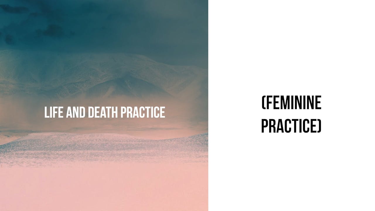 Life and Death Practice - The Embodied Relationship Experience